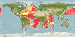 Rhynchactis macrothrix