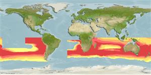 Pteraclis velifera, Spotted fanfish