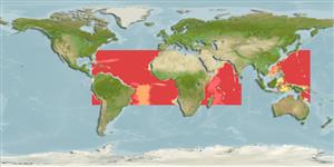 Acanthonus armatus, Bony-eared assfish