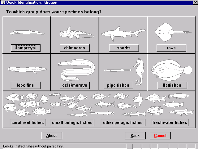 Quick Identification
